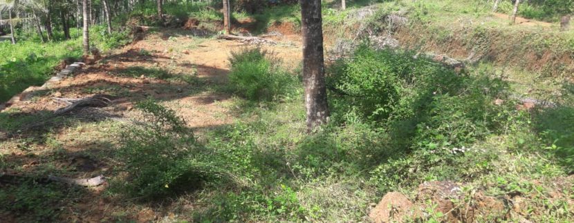 21 cent House Land Property for sale Vellarikundu, Kasaragode. – Buy ...