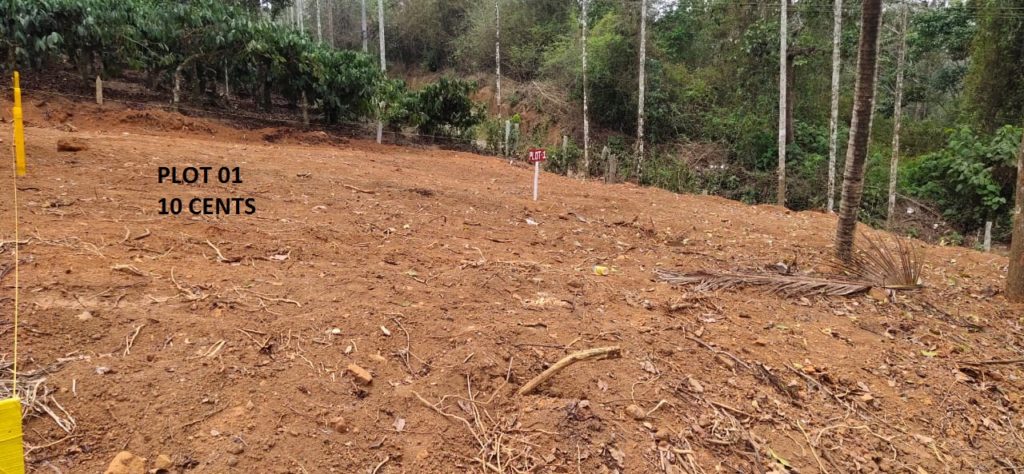 10 Cents square plot – Buy Sell Kerala Homes and Properties